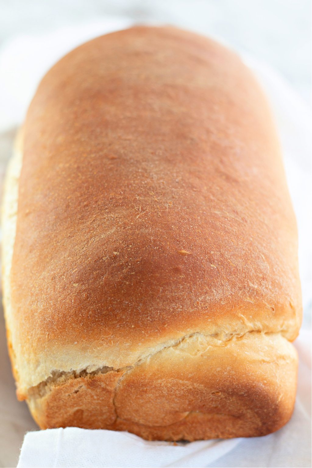 The Best Homemade Bread in a Bag - Mom Needs Chocolate